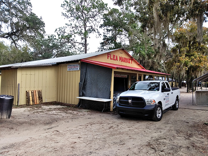 Humble on the outside, humble-brag-worthy finds inside. Bargainville's simple exterior belies the treasures waiting in this South Georgia gem.