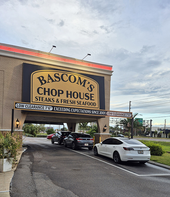 That "Exceeding Expectations Since 2001" isn't just marketing talk &ndash; it's a promise they've kept for over two decades strong.