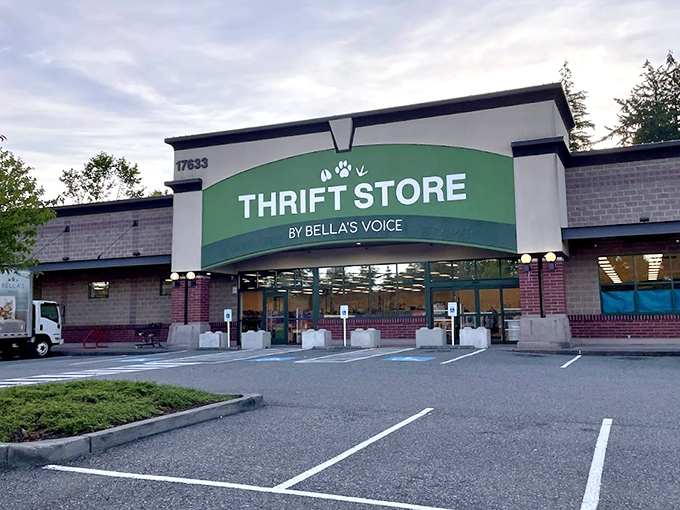 Bella's Voice makes a bold statement with its modern storefront&mdash;thrifting with purpose has never looked so inviting.