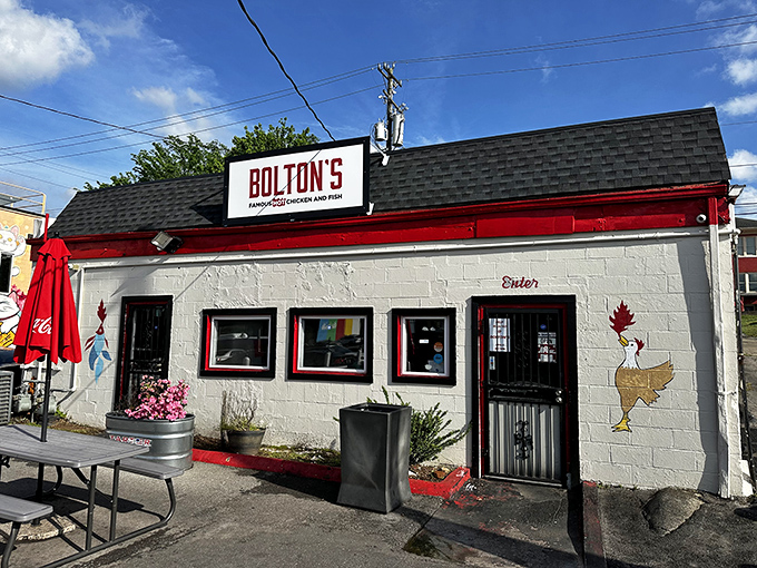 Bolton's no-frills approach lets the chicken do all the talking. And trust me, it has plenty to say!