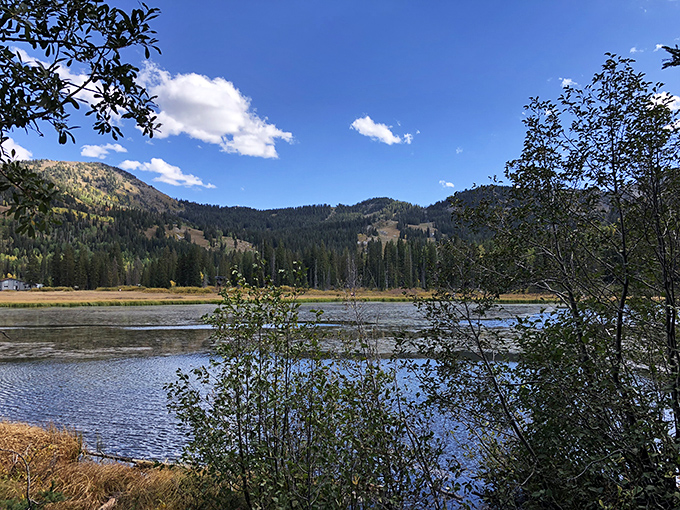 Brighton's lake captures autumn's golden hour magic, where every ripple tells a mountain story.