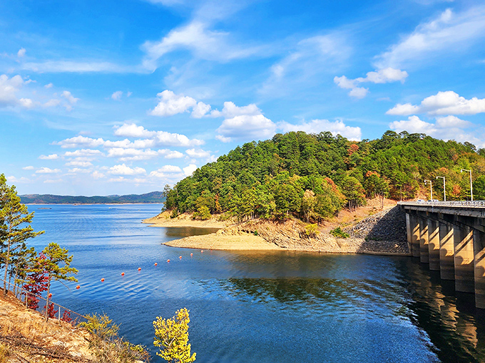 Mountain Fork River winds through towering pines, creating the kind of scenery that makes you forget you're in Oklahoma.