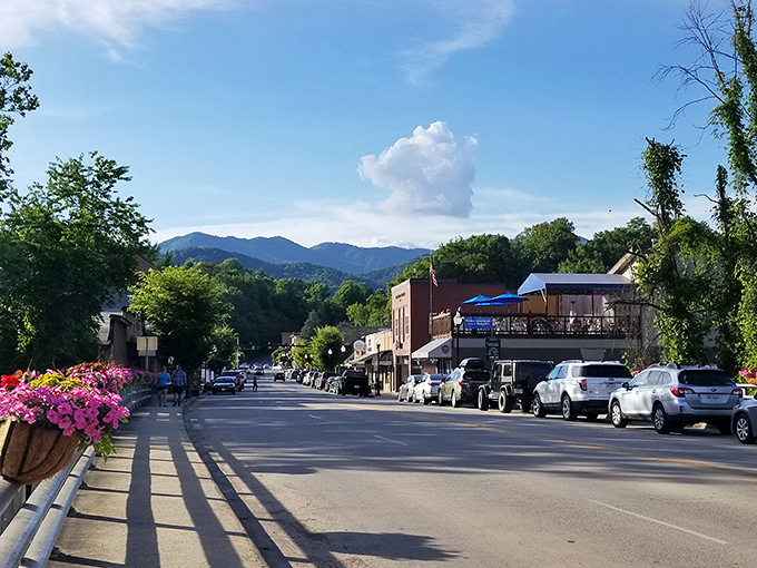 Bryson City's main drag has that "honey, slow down, I want to see the shops" quality that turns quick stops into daylong adventures.