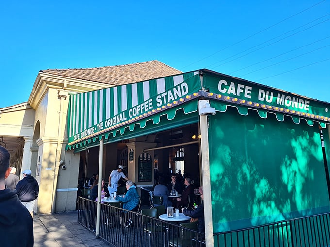 Green and white stripes never go out of style when they're wrapped around legendary beignets.