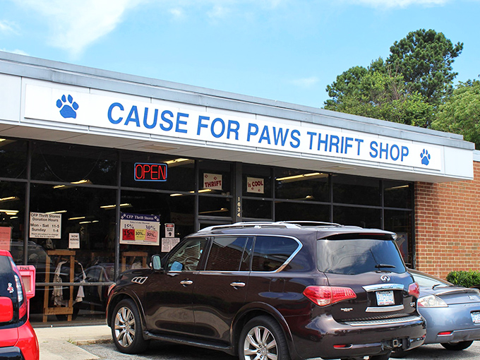 Shopping with purpose feels even better when you know every purchase helps local furry friends find homes.