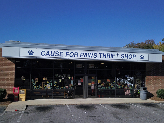 Cause for Paws combines pet love with thrift shopping magic. Where every purchase helps furry friends find forever homes!