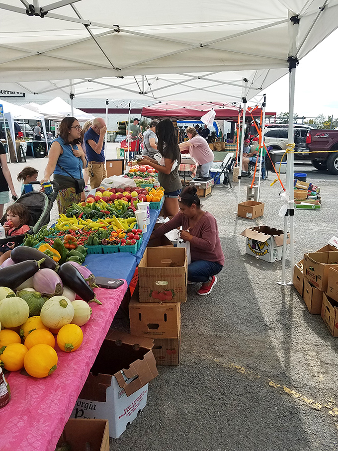 Fresh produce meets vintage finds under Clarksburg's open sky - the perfect combination for savvy shoppers.