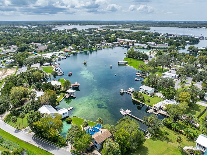 Crystal River's waterways wind through town like liquid highways designed specifically for manatees and lucky retirees.