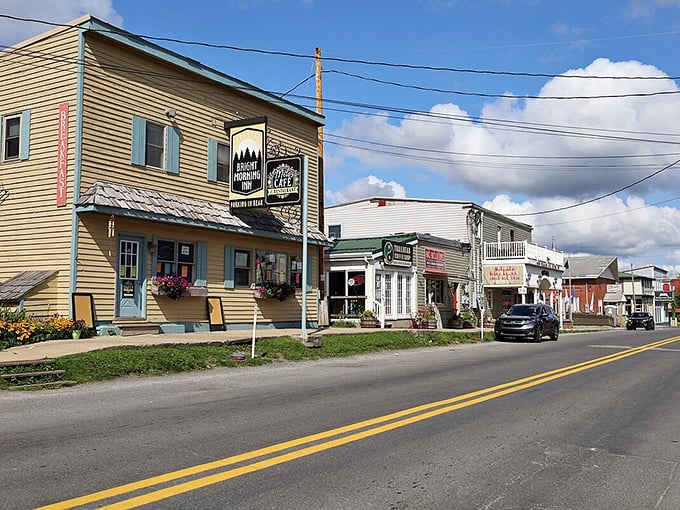 Davis's main street showcases charming shops with flower boxes and welcoming signs. Like a small-town welcome committee dressed in clapboard and sunshine.