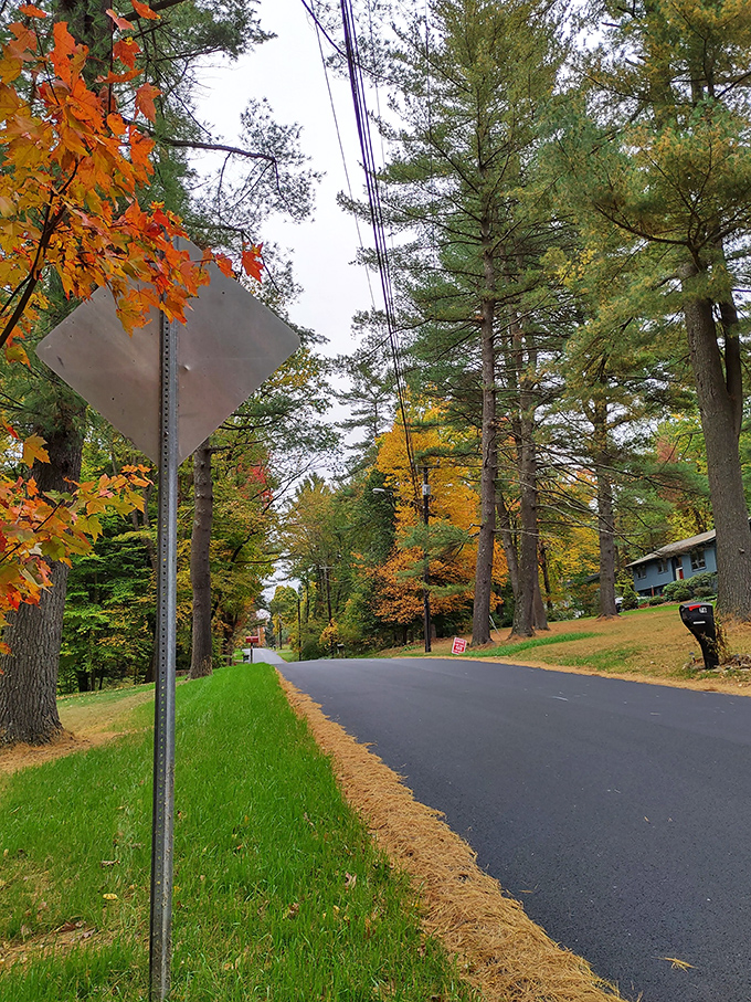 Fall paints Deerfield's tree-lined streets with nature's most spectacular free show &ndash; New England autumn at its finest.