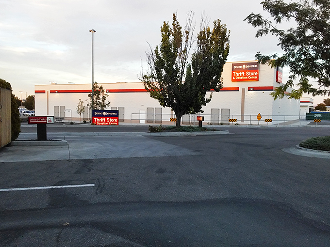 This warehouse-sized wonder promises enough space to lose yourself in aisles of amazing discoveries.