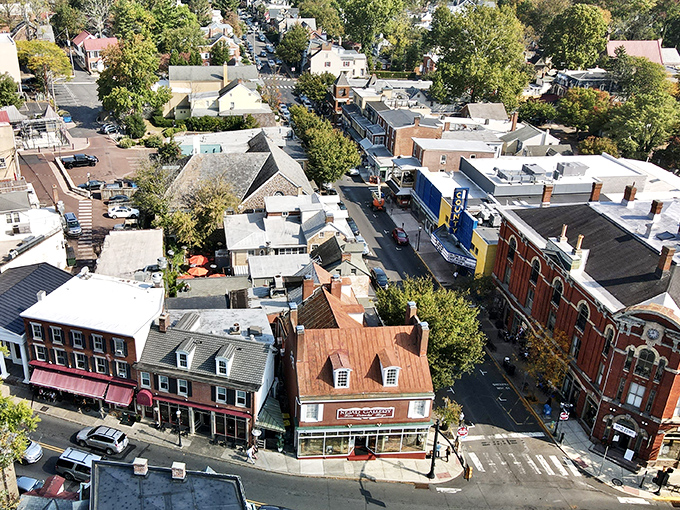 These colorful Victorian houses line up like fancy birthday cakes, each one more delightfully decorated than the last.