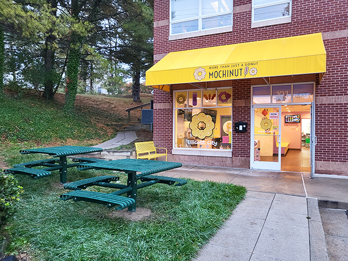 Elli Mochi's cheerful yellow awning brightens up Ellicott City, promising Japanese-inspired treats that are as photogenic as they are delicious.