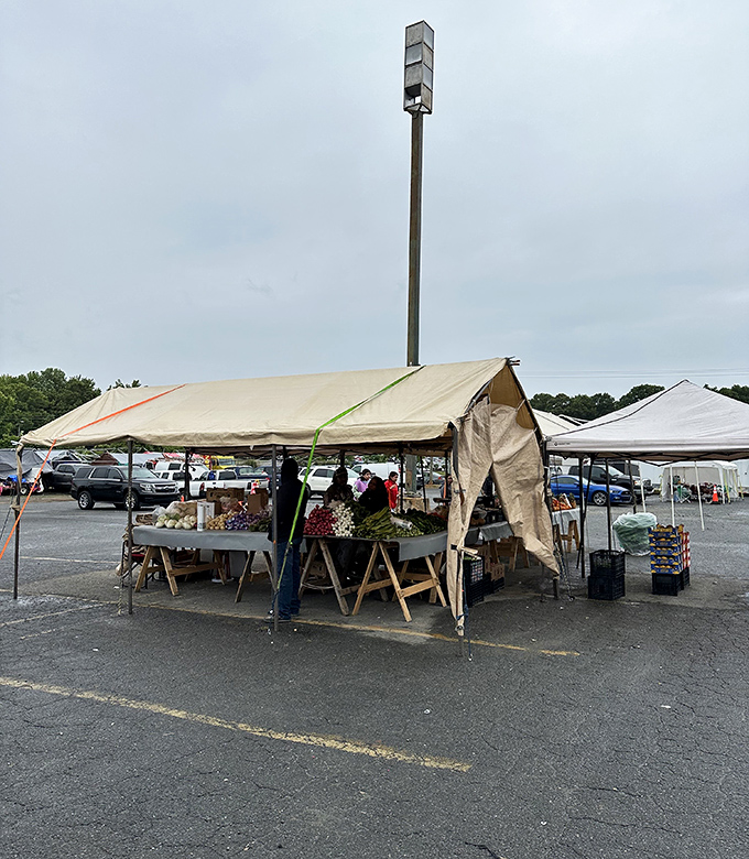 When the parking lot looks this busy, you know word has spread about the incredible deals waiting inside.