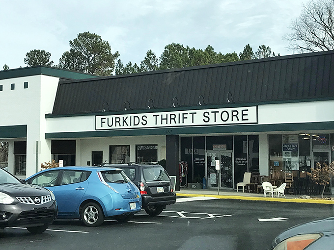 Furkids proves that doing good and finding deals can absolutely go hand-in-hand, like peanut butter meeting its jelly soulmate.