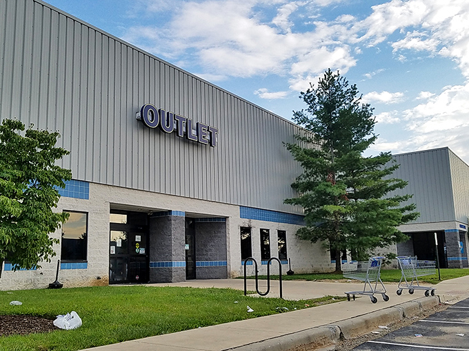 Welcome to thrifting's final frontier - where shopping carts roam free and treasures hide in rolling bins. 