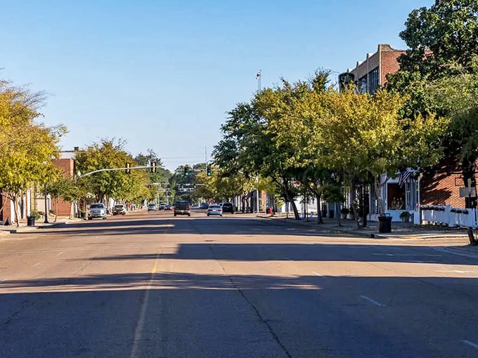 Greenville's wide downtown boulevards create a peaceful atmosphere where your retirement budget feels right at home.