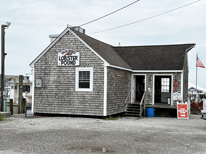 Guilford Lobster Pound keeps it simple: weathered shingles, fresh catch, and zero pretension.