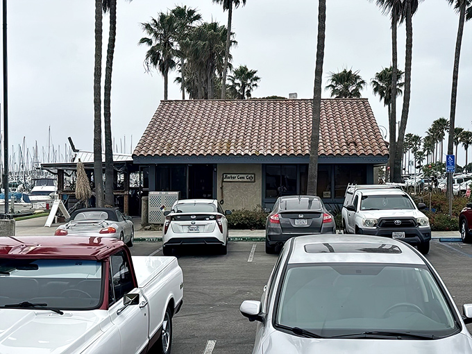 Harbor Cove Caf&eacute; sits like a postcard come to life &ndash; palm trees, Spanish tiles, and breakfast burritos worth setting an alarm for.