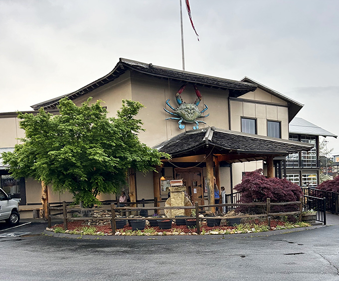 Harpoon Harry's (exterior with crab): "That giant blue crab isn't being subtle! Harpoon Harry's announces its seafood mission with architectural flair and Japanese-inspired design."