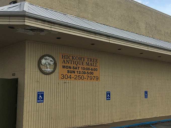 Hickory Tree's simple exterior belies the wonderland within. That tree logo promises roots in the past and branches of possibility.