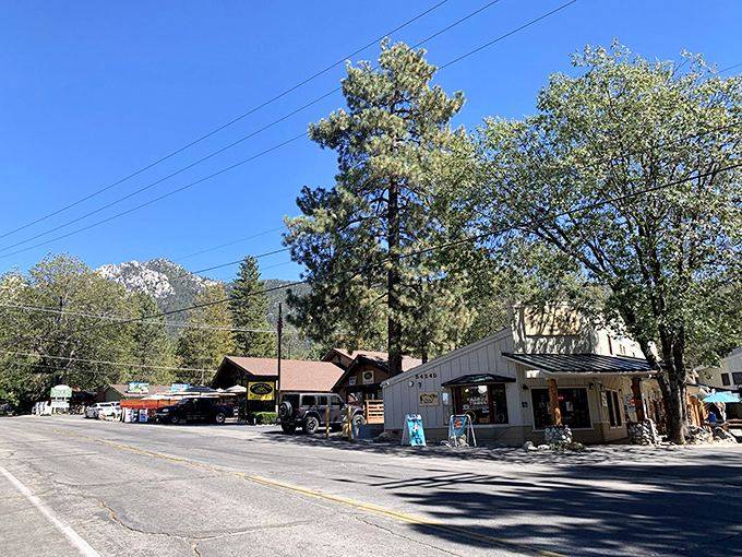 Idyllwild's pine-studded landscape creates a perfect mountain retreat. The air is fresher, the pace slower, and your blood pressure noticeably lower.