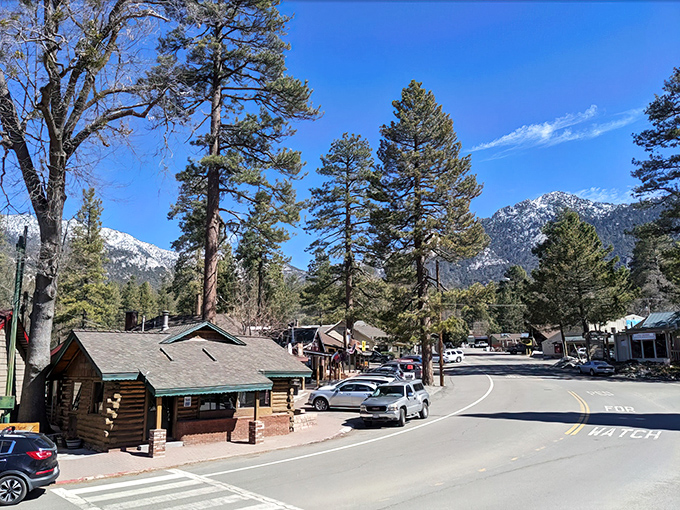 Idyllwild's forest setting proves that sometimes the best art gallery is the one nature painted with towering pines.