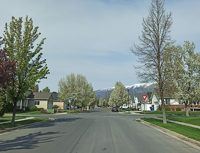 Layton's tree-lined residential streets offer affordable suburban living with the majestic Wasatch Mountains as your daily backdrop.