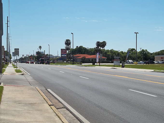 Leesburg's wide boulevards and swaying palms welcome retirees seeking sunshine without the financial sunburn. Affordable Florida living at its finest!
