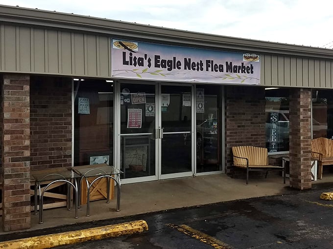 Eagle-eyed shoppers soar to new heights discovering hidden gems in this cozy treasure trove.