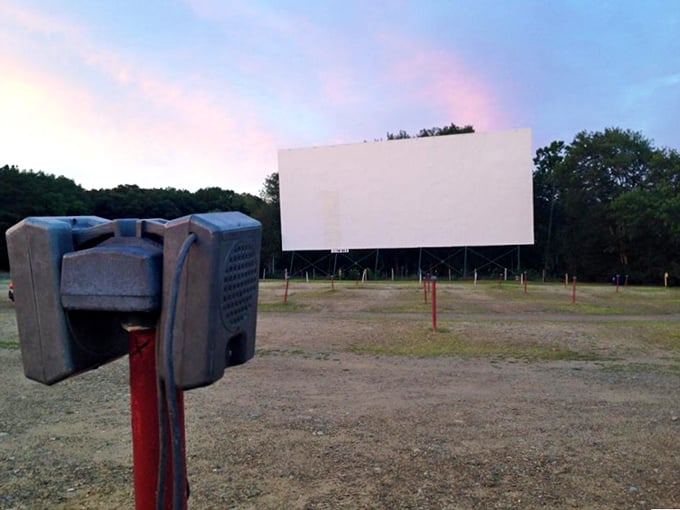 Where else can you hunt for vintage treasures while that iconic movie screen watches over you?