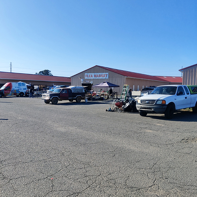 This spacious parking protects shoppers' cars while exploring that authentic treasure-hunting spot.