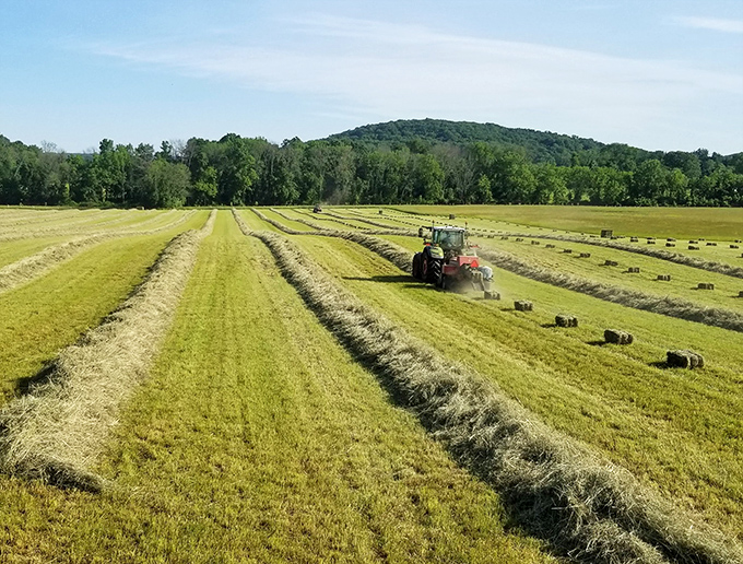 Modern tractors work timeless fields where tradition and progress dance together in perfect harmony.