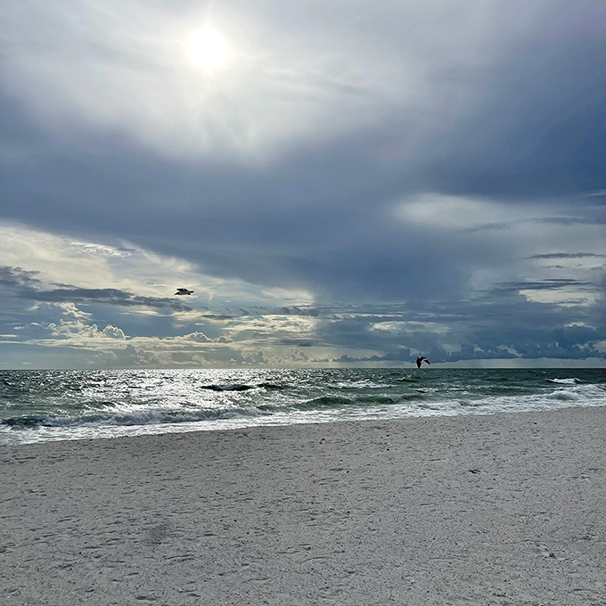 Caladesi's North Beach &ndash; where the clouds and water compete for which can be more dramatically beautiful.