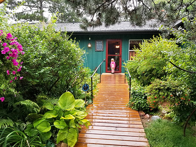 Hidden among the trees like a fairy tale cottage, this little green gem serves up pure magic.