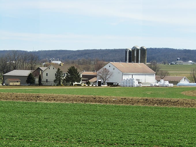 In Paradise, even the farm silos reach toward heaven, standing tall against a backdrop of meticulously maintained fields.
