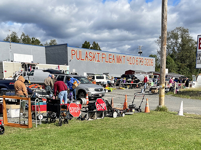 Pulaski Flea Market sits roadside like an old-school trading post where highway travelers discover unexpected gems.