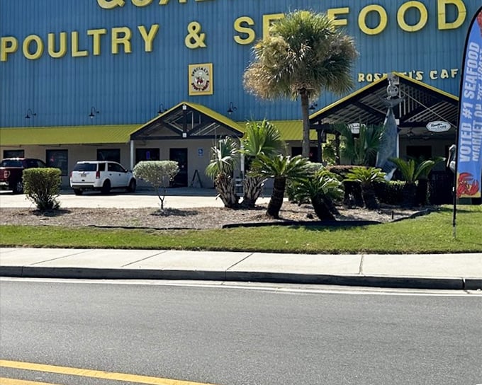 Sometimes the most unassuming buildings house the most extraordinary flavors - quality speaks louder than flashy signs.