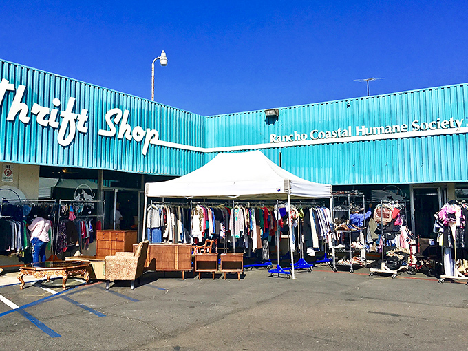 Rancho Coastal's turquoise building pops against the blue California sky. Shopping here means wagging tails and happy pets benefit from your bargain hunting.
