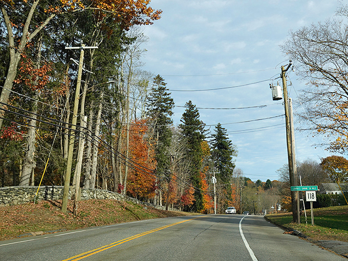 Autumn's fiery palette frames Route 118's gentle curve! Stone walls whisper colonial secrets while fall foliage throws its annual block party.