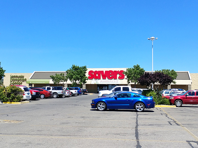 Savers isn't just big&mdash;it's Texas-neighbor big, with enough merchandise to furnish your home, fill your closet, and still leave change for lunch.