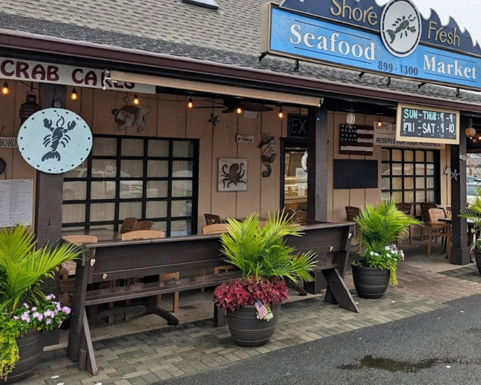 The rustic charm and string lights create that perfect shore dining atmosphere where every meal feels like a mini vacation celebration.