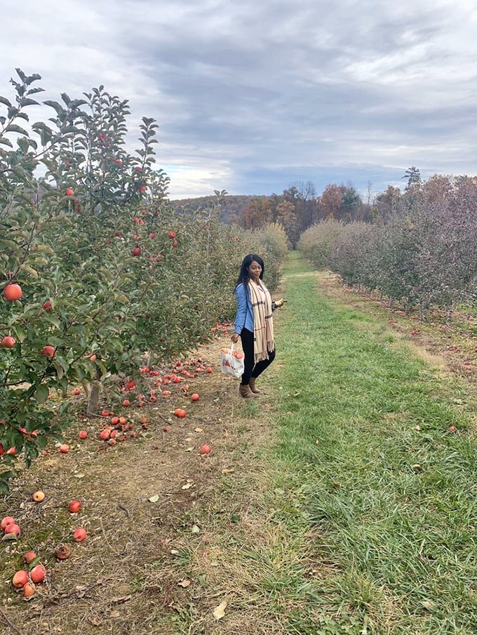 That red building holds more apple goodness than you can fit in one visit &ndash; trust me, you'll be back.