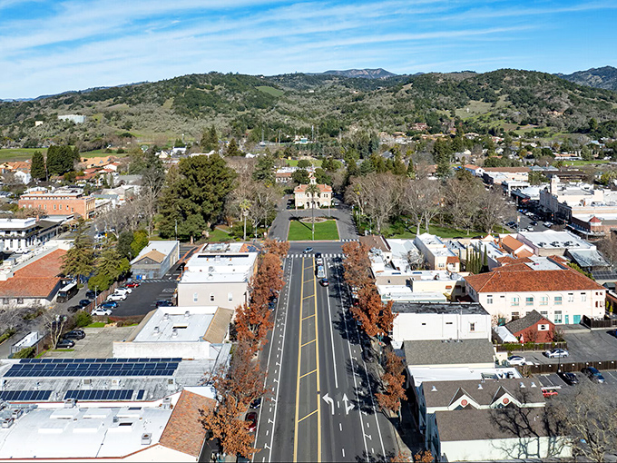 Sonoma's hillside homes offer a front-row seat to wine country living. Where "room with a view" takes on an entirely new meaning.