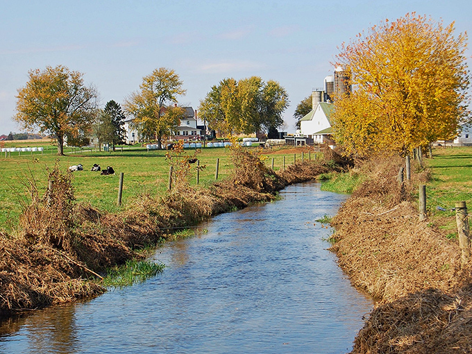 This winding creek knows how to take its time, meandering through paradise without any rush whatsoever.