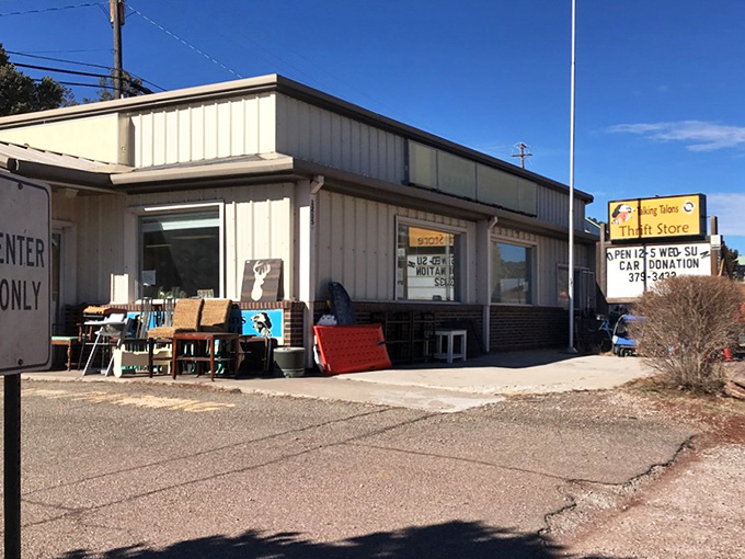 Talking Talons' modest exterior belies the treasures within. Shopping for a cause never looked so inviting!