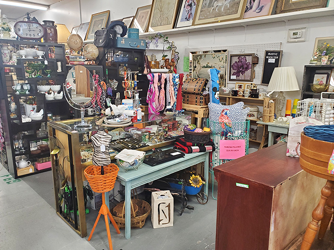 Organized chaos at its finest, where every shelf holds potential treasures waiting for their next adventure.