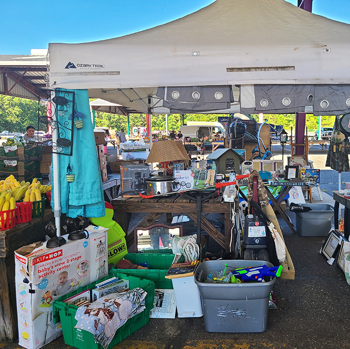 Treasure hunting at its finest - where one person's clutter becomes your weekend adventure gold.