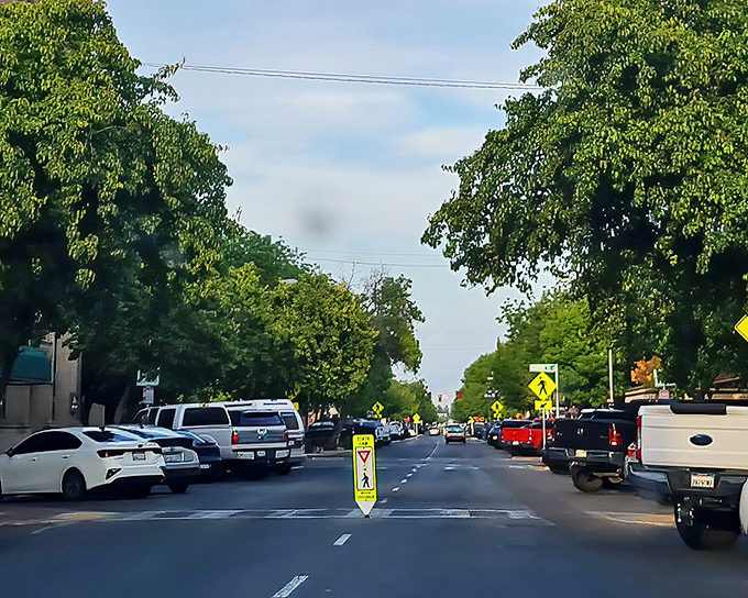 A peaceful, tree-shaded street in Visalia, where everyday life moves at a relaxed, small-town pace.