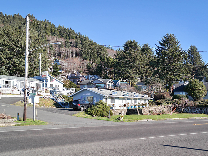 In Yachats, hillside homes capture the quiet charm of a coastal town where the forest meets the sea just beyond view.